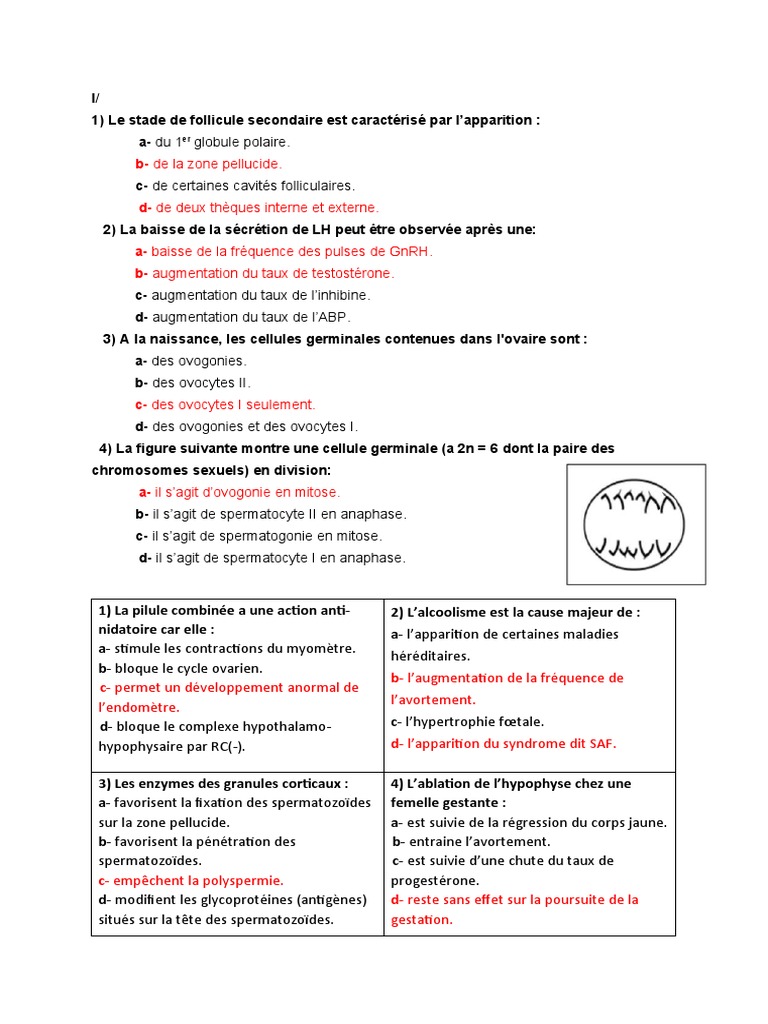 A-Du 1 Globule Polaire.: B - de La Zone Pellucide | PDF | Nerf | Synapse