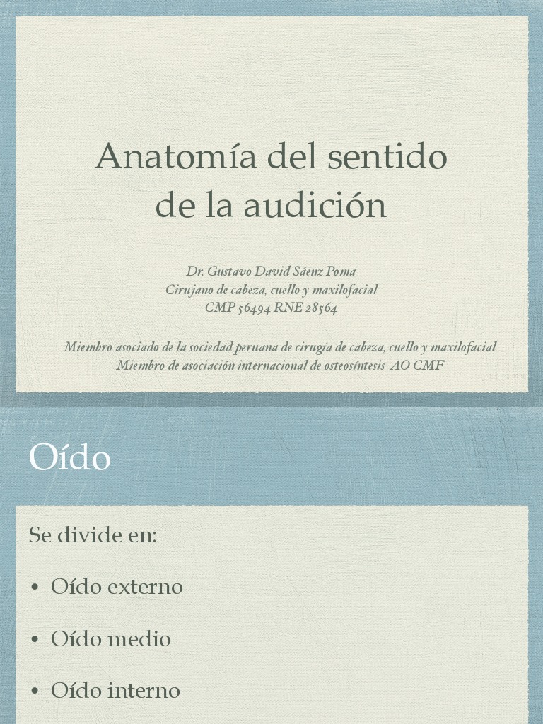 Anatomía del Oído y Audición | PDF | Oído | Sistema Auditorio