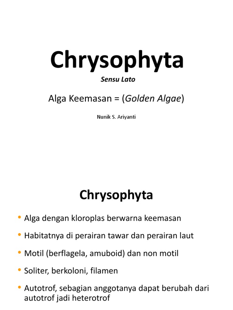 Ciri dan Klasifikasi Chrysophyta | PDF | Kesehatan Holistik | Sains ...