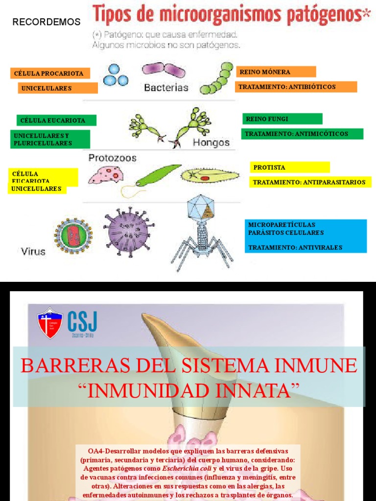Barreras de Defensa-Innata | PDF | Sistema inmune | Inflamación
