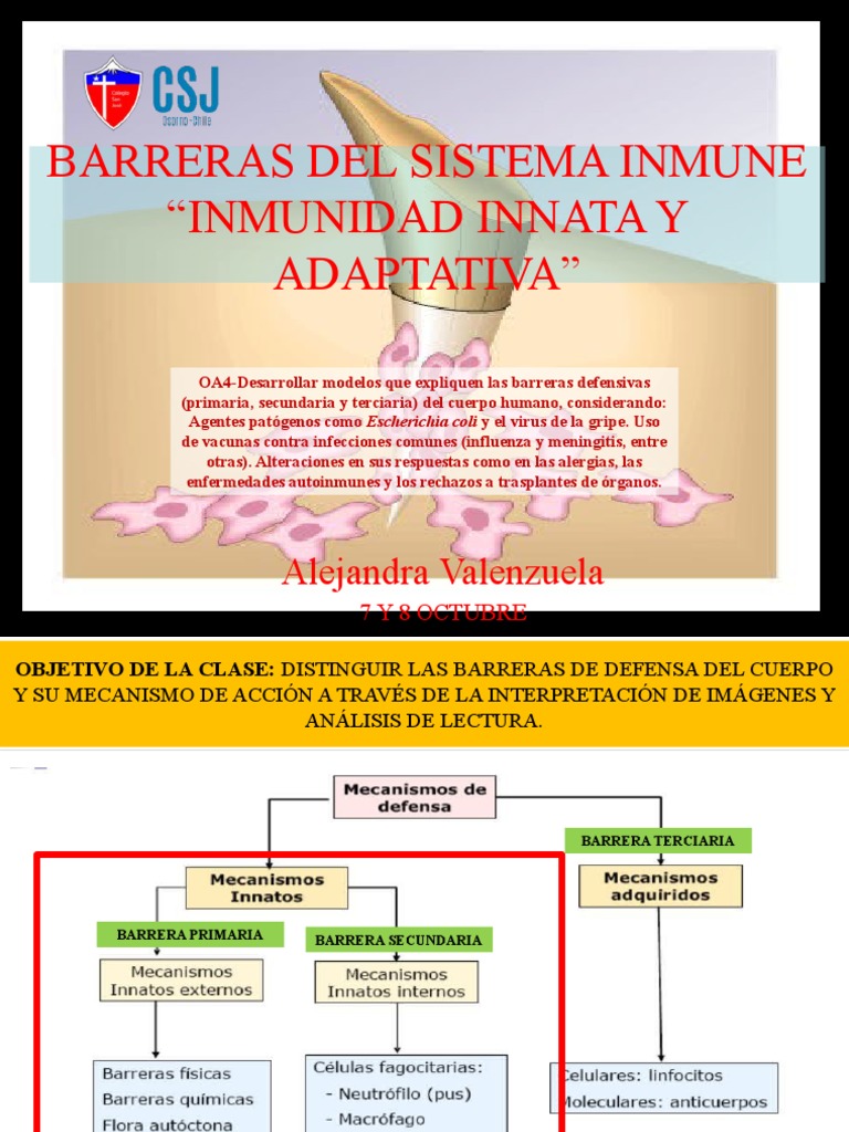 Barreras de Defensa-Innata. y Adquirida | PDF | Sistema inmune | Infección