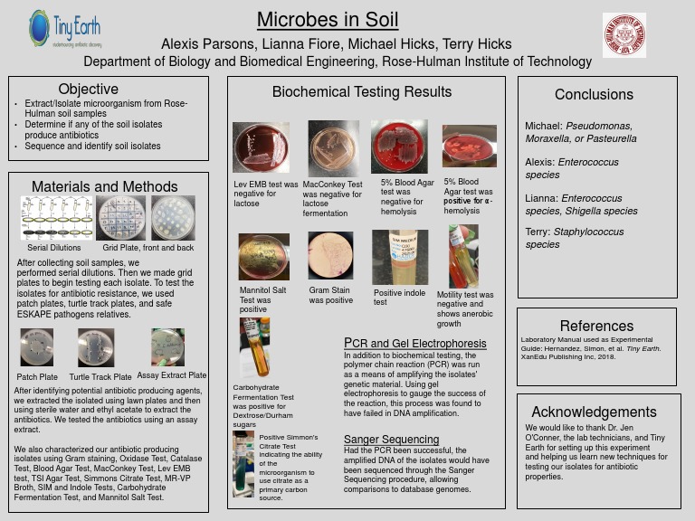 Microbiology Poster | PDF | Polymerase Chain Reaction | Dna Sequencing