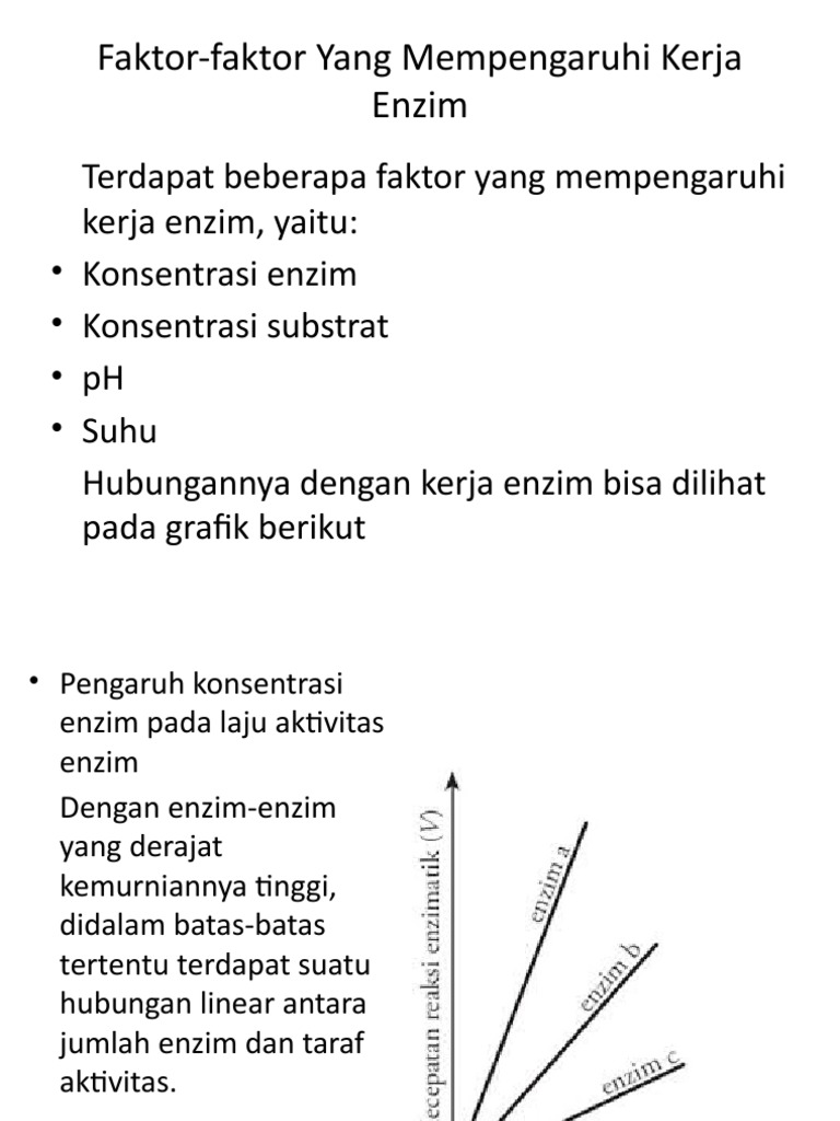 Faktor-Faktor Yang Mempengaruhi Kerja Enzim | PDF