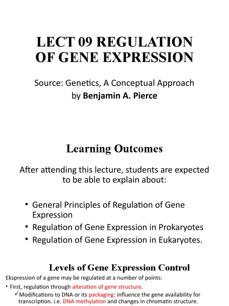 Gene Expression Regulation Basics | PDF | Operon | Repressor