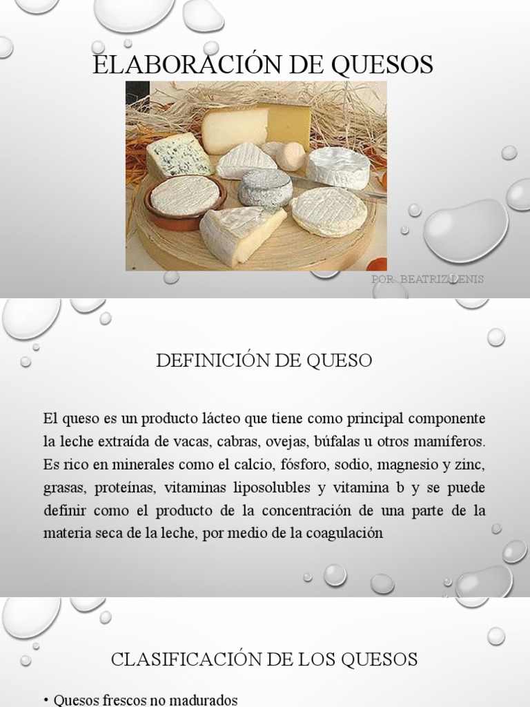 Elaboración de Quesos | PDF | Queso | Leche