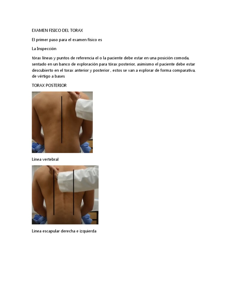 Examen Físico del Tórax: Guía Completa | PDF | Tórax | Tórax (anatomía ...