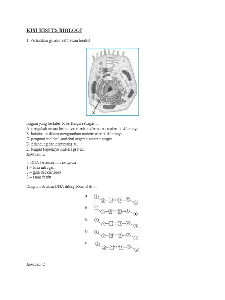 Kisi-Kisi US Biologi | PDF | Sains & Matematika