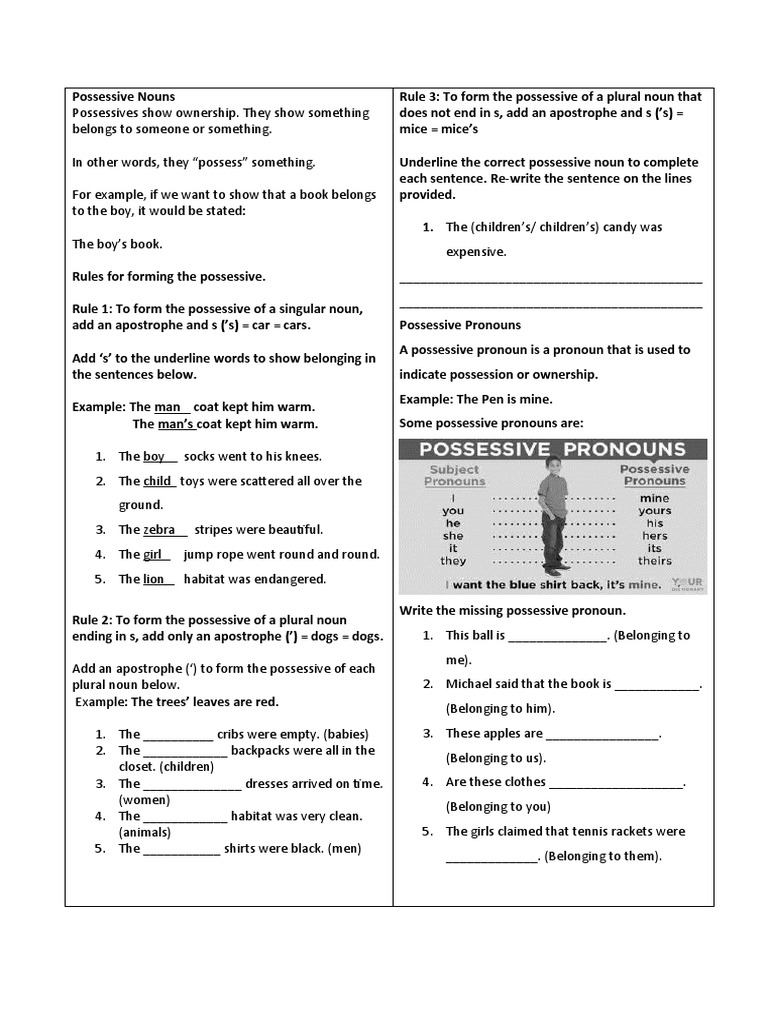 Wednesday-Possessive Nouns Worksheet | PDF | Noun | Plural