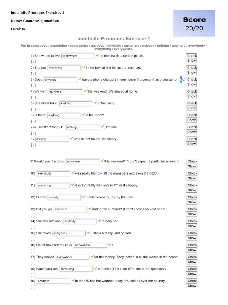 Indefinite Pronouns Practice Exercises | PDF