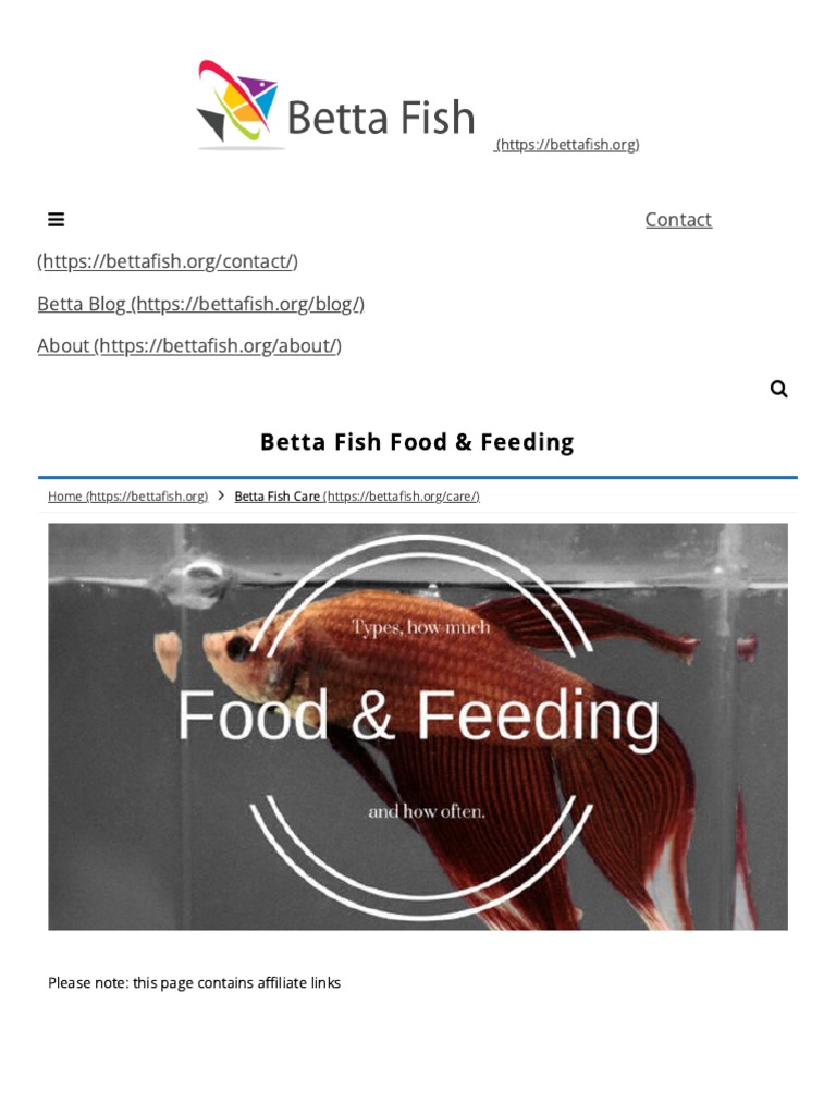 Best Betta Fish Food - What To Feed & How Much | PDF | Foods | Freeze ...