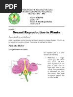 Parts of A Flower Lesson Plan | PDF | Petal | Flowers