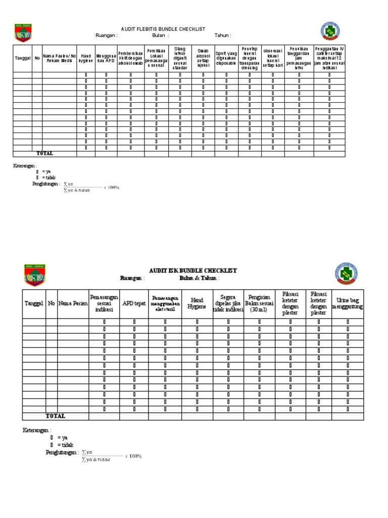 Form Audit Bundles Flebitis | PDF