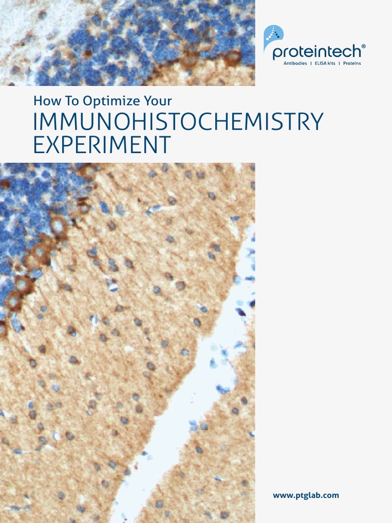 Immunohistochemistry Experiment: How To Optimize Your | PDF ...