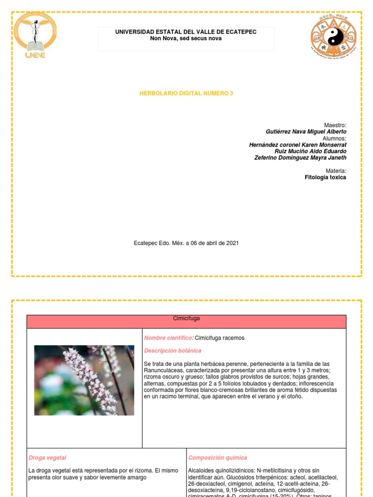 Herbolario Digital #3 | PDF