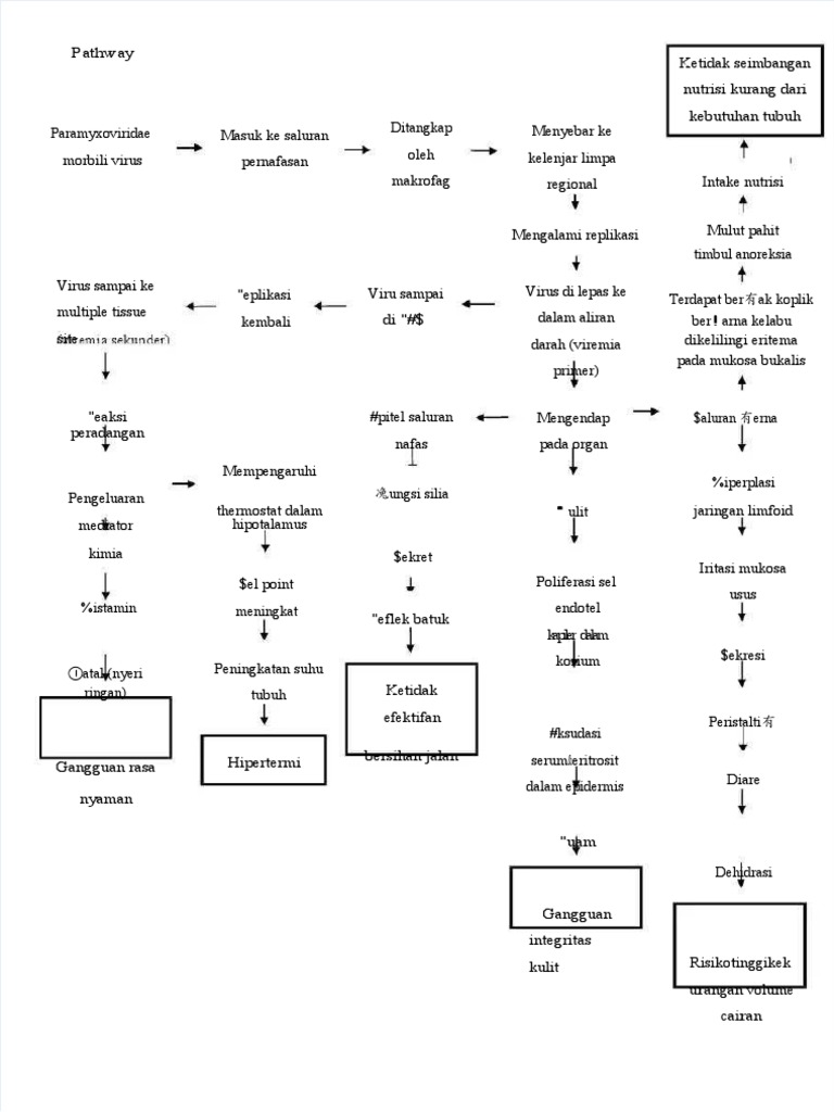 PDF Pathway Campak | PDF