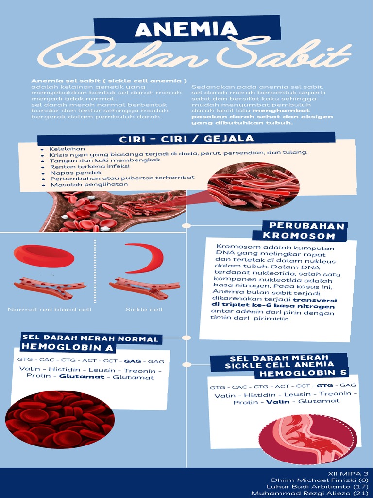 Infografis Anemia Bulan Sabit | PDF