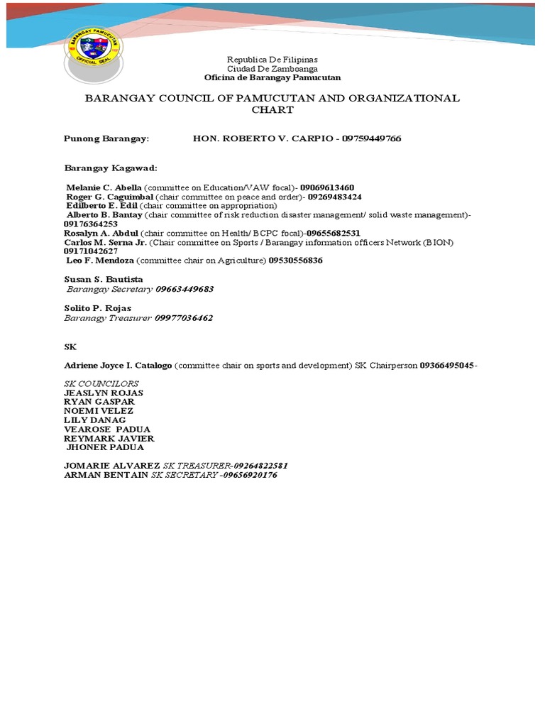 Barangay Pamucutan Council Structure | PDF