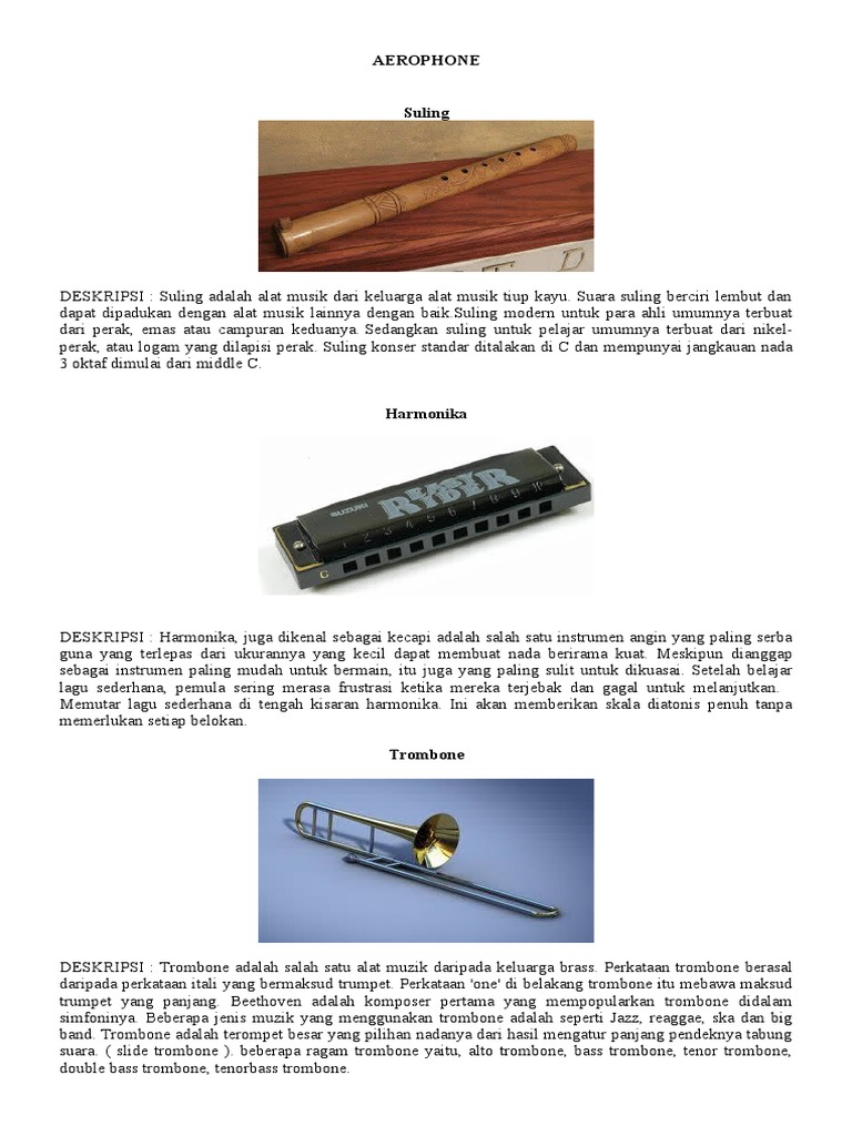 Aerophone 1 | PDF | Seni