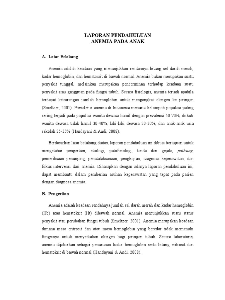 LP Anak Anemia | PDF