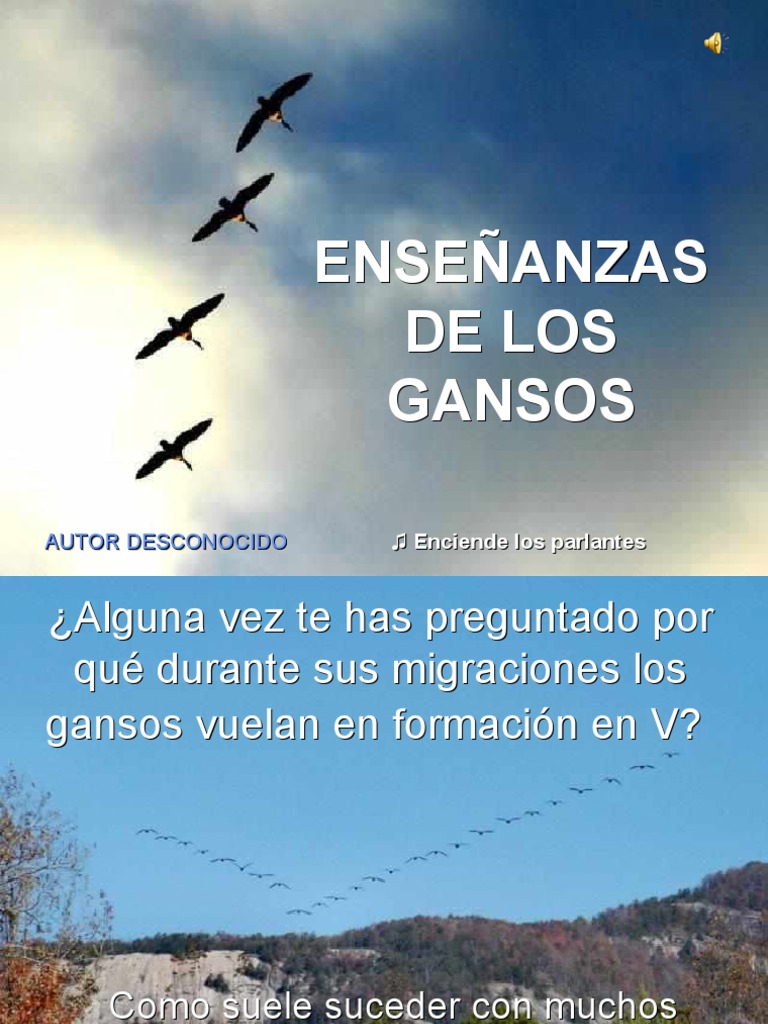 Enseñanzas del Vuelo de los Gansos | PDF | Aves