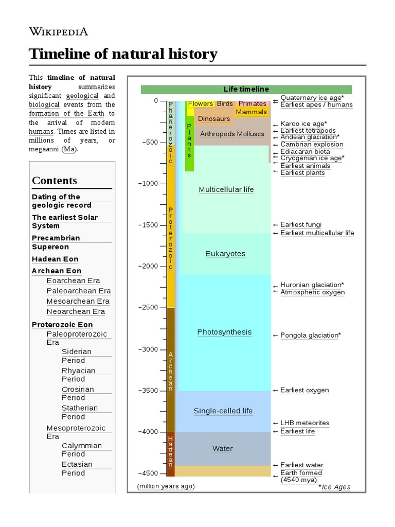 Timeline of Natural History | PDF | Geology | Earth Sciences