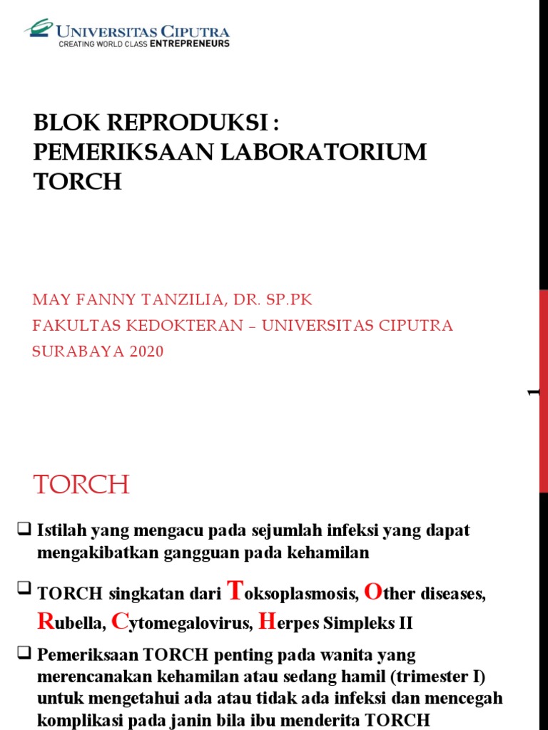 Pemeriksaan Laboratorium Infeksi TORCH untuk Mencegah Komplikasi pada ...