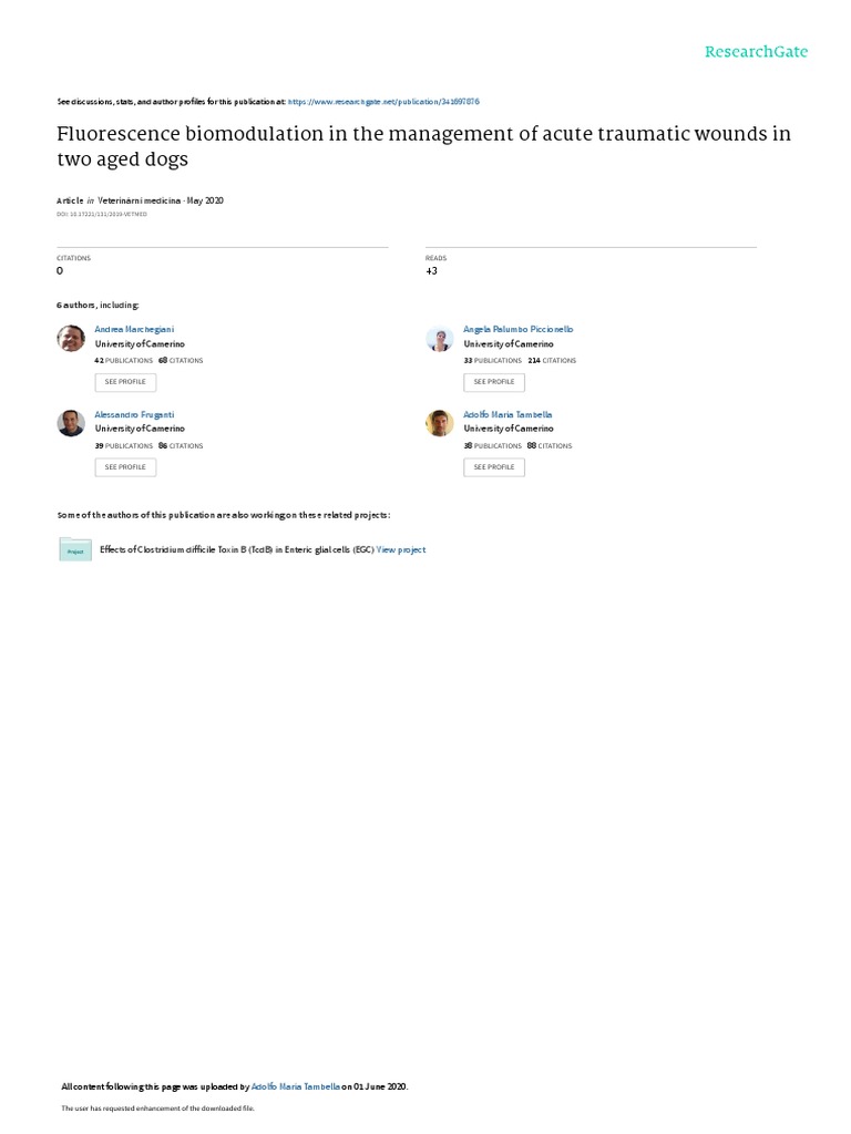 Fluorescence Biomodulation in The Management of Ac | PDF | Wound ...