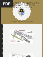 Clasificación de Las Distintas Uniones Rígidas | PDF | Tornillo ...