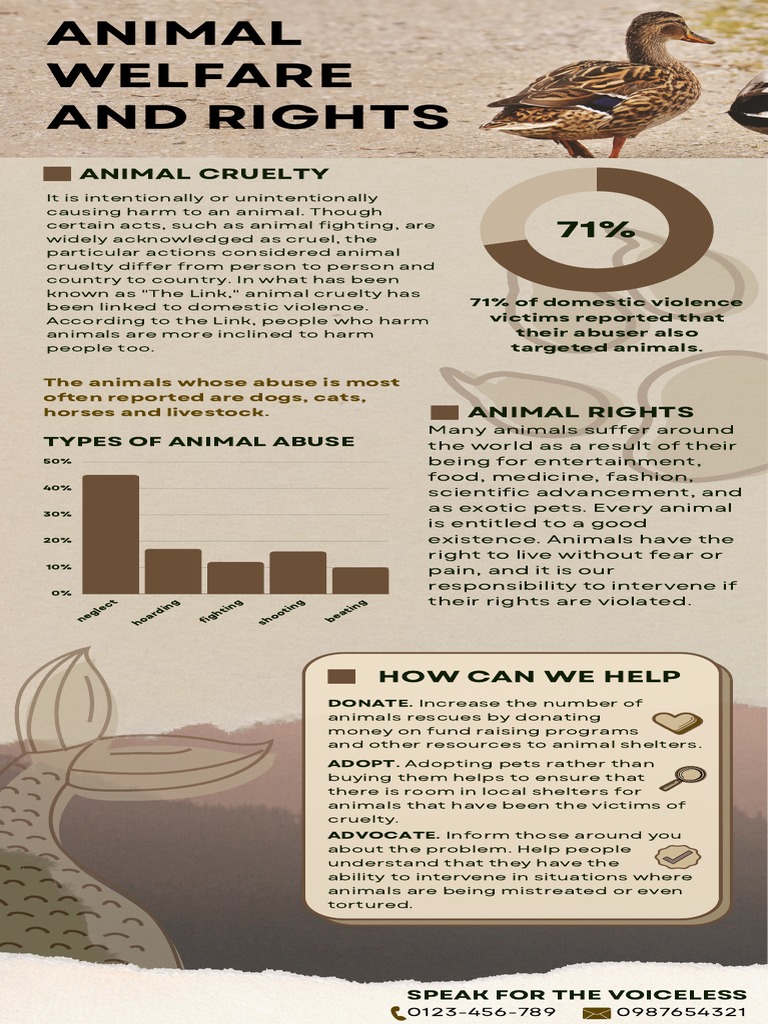 Animal Welfare and Rights | PDF | Cruelty To Animals | Animal Welfare