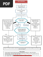 Contoh Penulisan SOAP Di CPPT | PDF