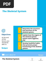 The Skeletal System - Skeleton - Living Organisms - KS3 Biology - BBC ...