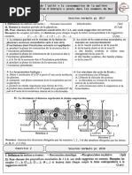 Résumé Du Programme SVT 2 BAC PC BIOF PR Mousstaid | PDF