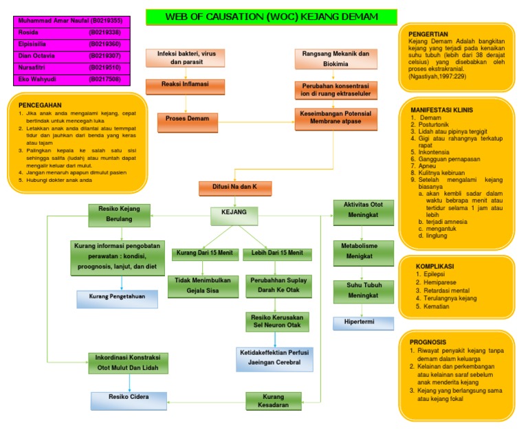 Woc Kejang Demam Kelompok 6 | PDF