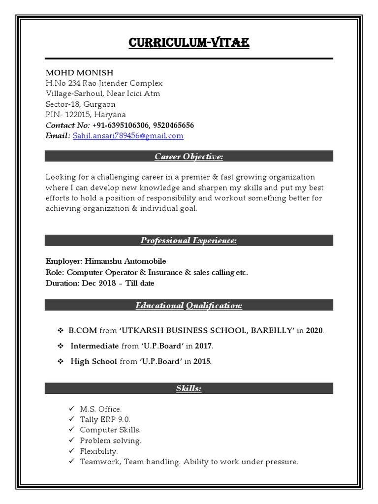 Curriculum-Vitae: Mohd Monish | PDF
