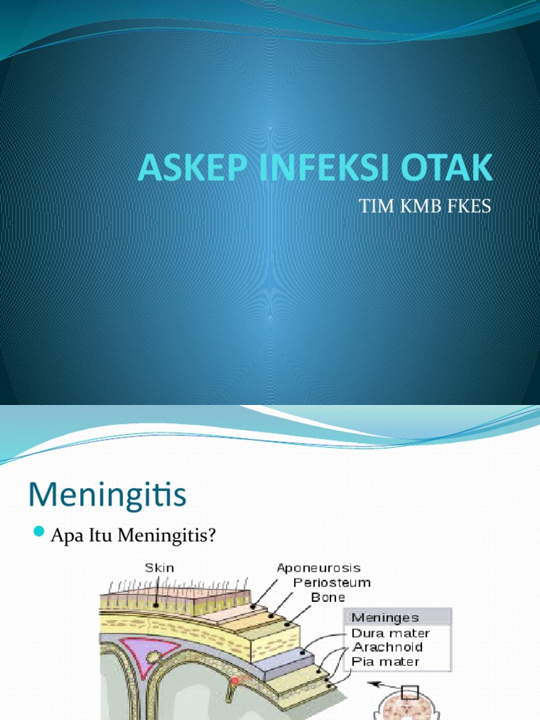 Askep Infeksi Otak | PDF