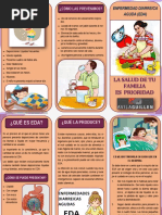Triptico Edas | PDF | Diarrea | Heces