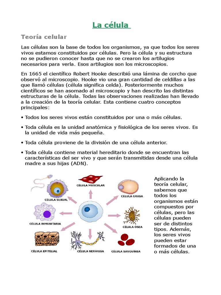 La base de la vida: una introducción a la teoría celular y la ...