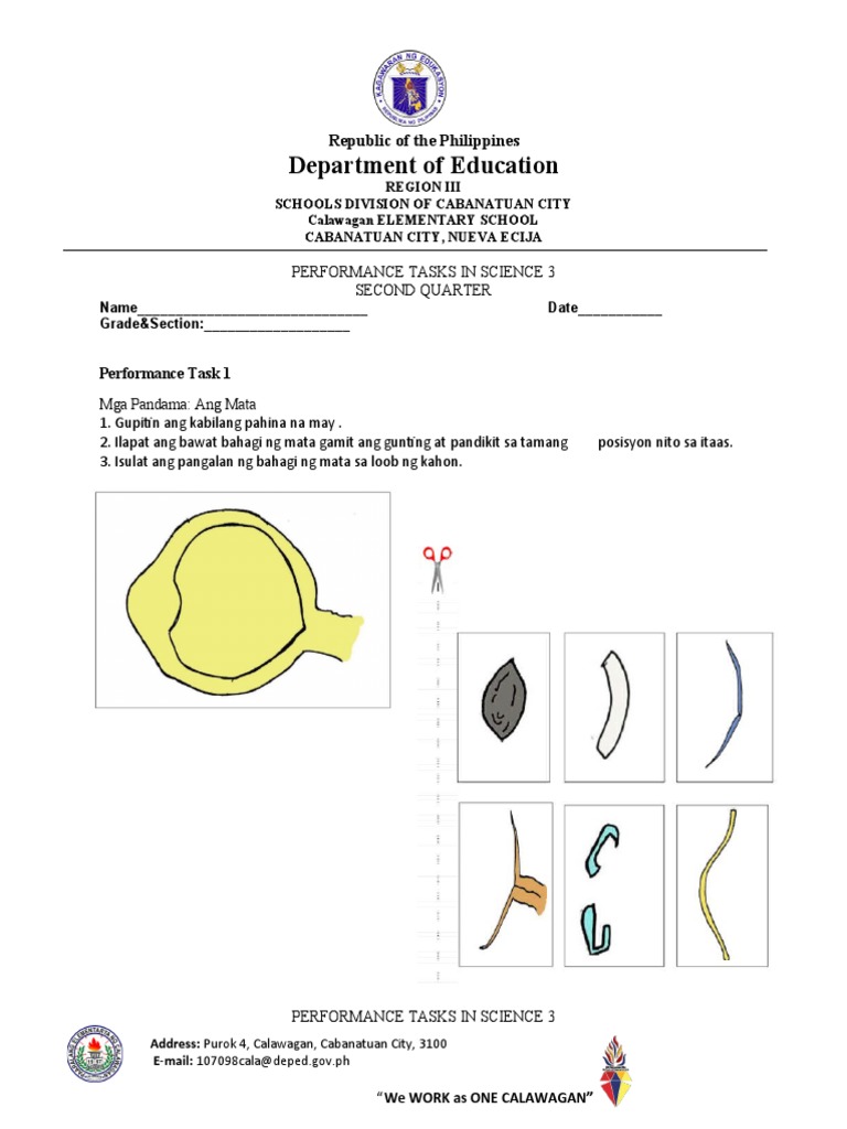Performance Tasks in Science for 3rd Graders | PDF | Philippines