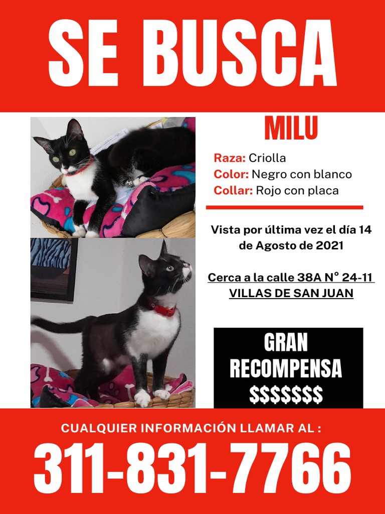 Rojo Foto Se Busca Póster | PDF