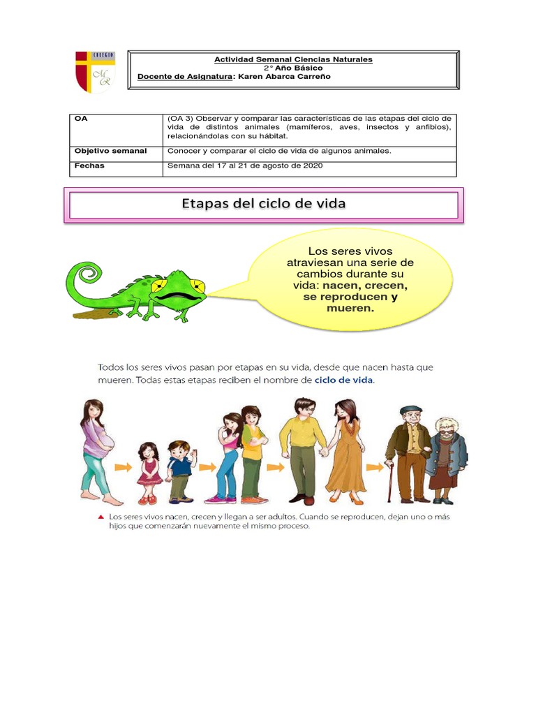 Csnat 2° | PDF | Aves | Mamíferos