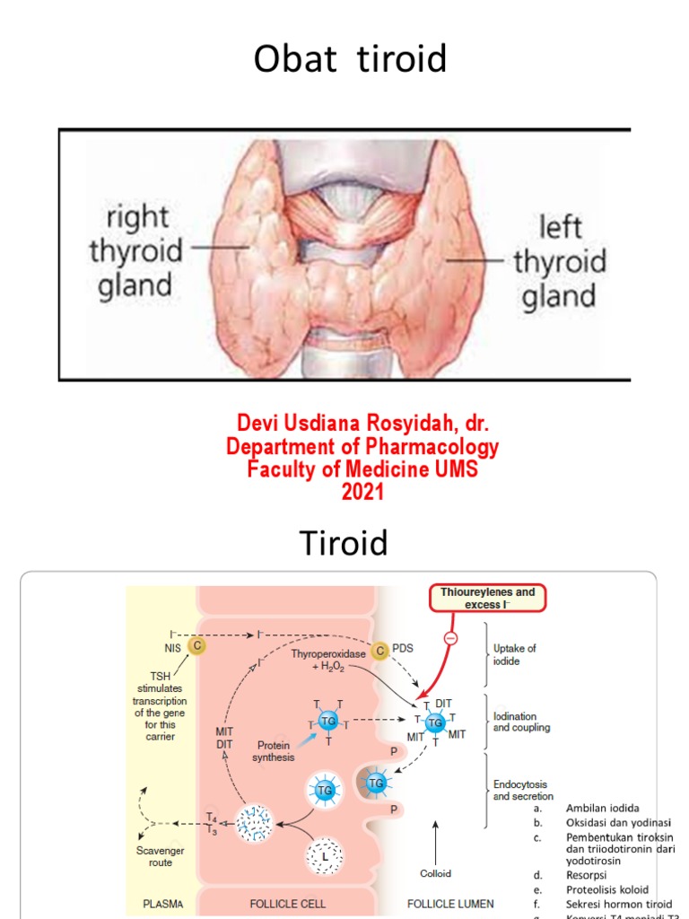 Dr. Devi-Obat Anti Tiroid Obat Hipotiroid 2021 | PDF