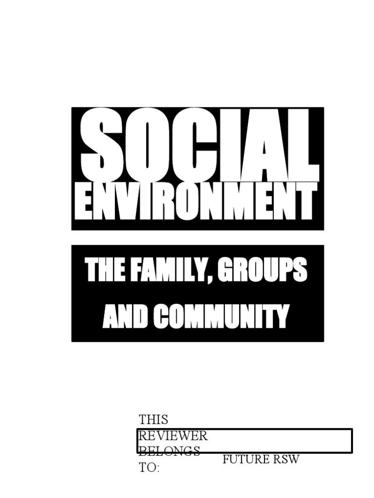 Social Work Environment | PDF | Family | Socialization