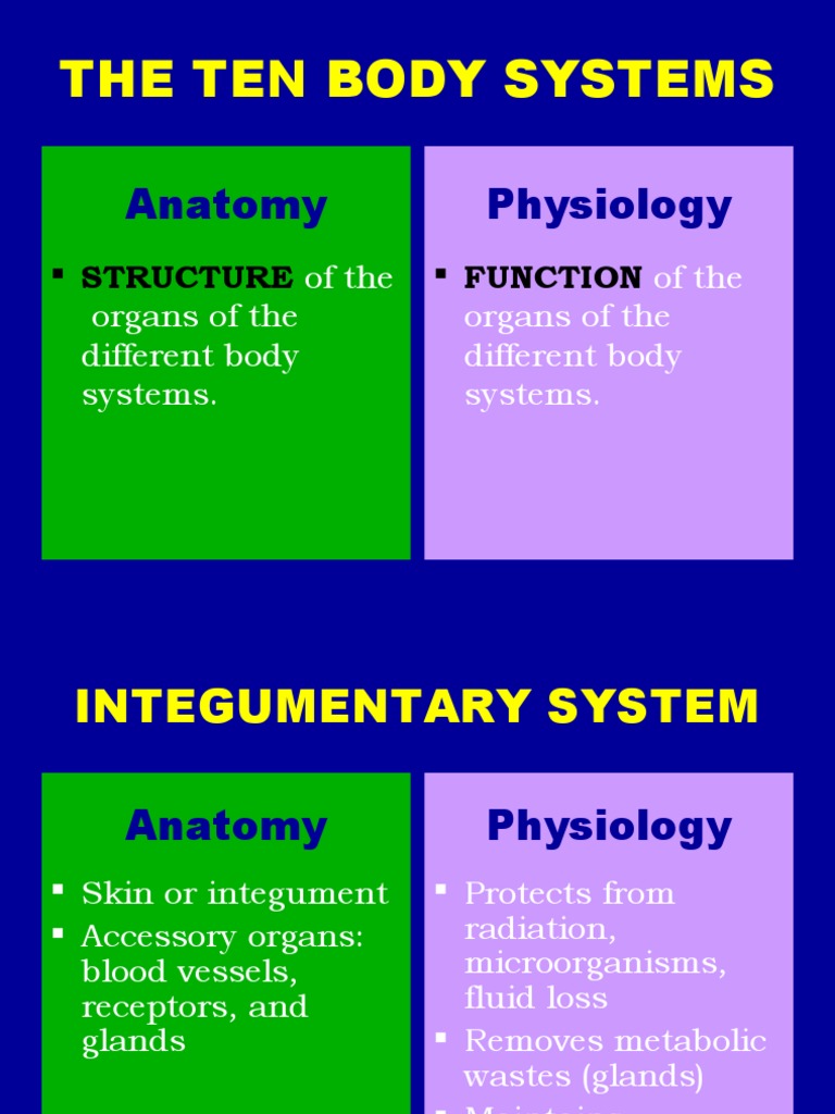 Ten Body Systems | PDF | Human Body | Zoology
