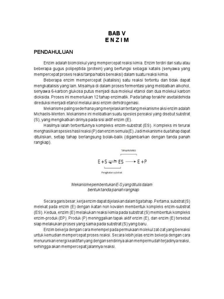 Modul Biokimia-Enzim | PDF