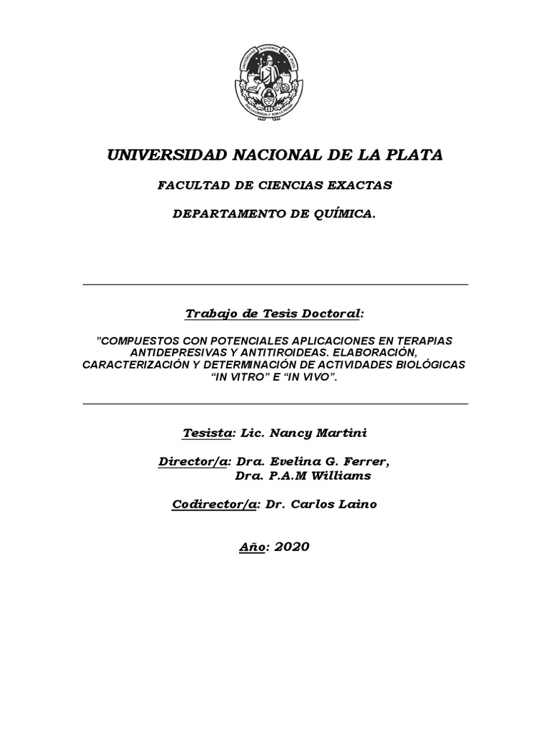 Tesis Doctoral Nancy Martini 2020 .PDF-PDFA | PDF | Complejo de ...