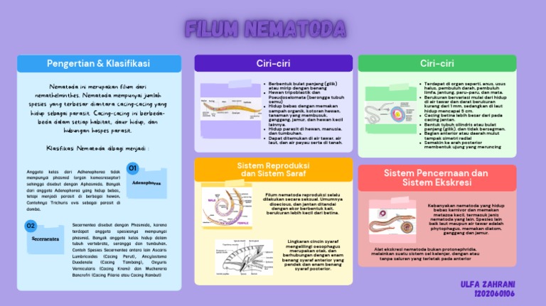 Ciri dan Klasifikasi Filum Nematoda | PDF