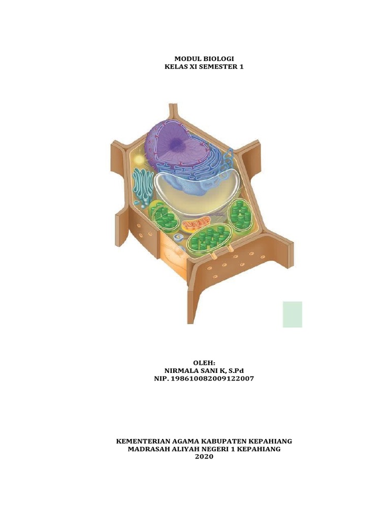 Modul Biologi Kelas XI Semester 1 | PDF