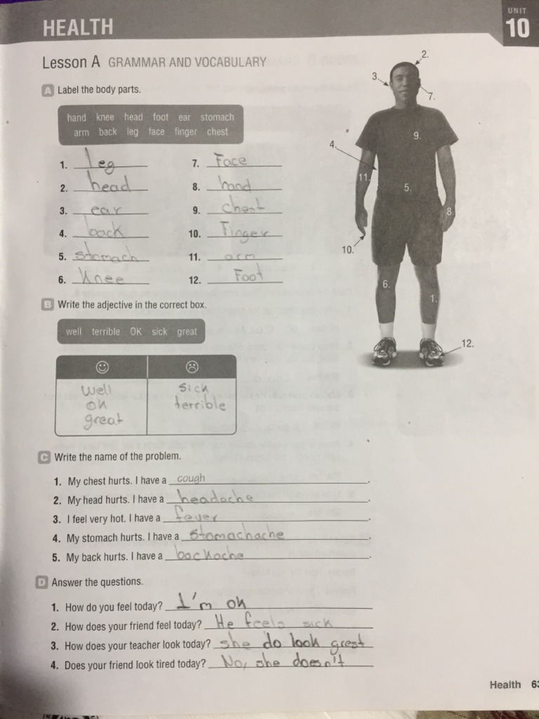 Workbook Unit 10 | PDF | Influenza | Clinical Medicine