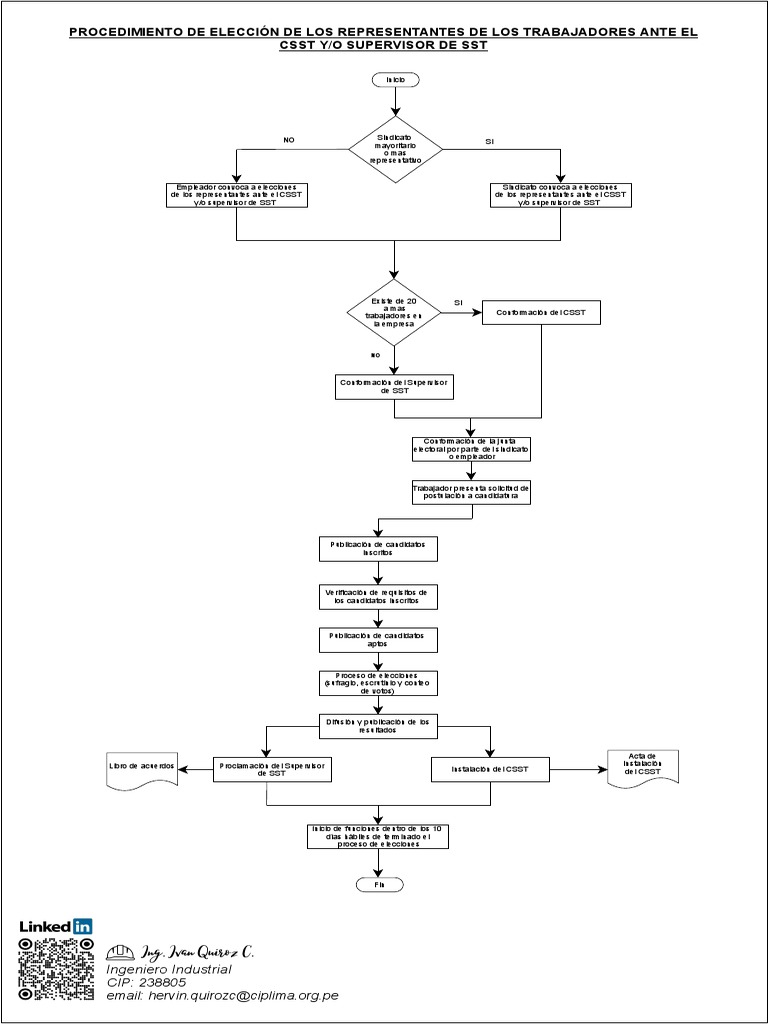 Flujograma de Elecciones Del CSST | PDF | Política | Gobierno