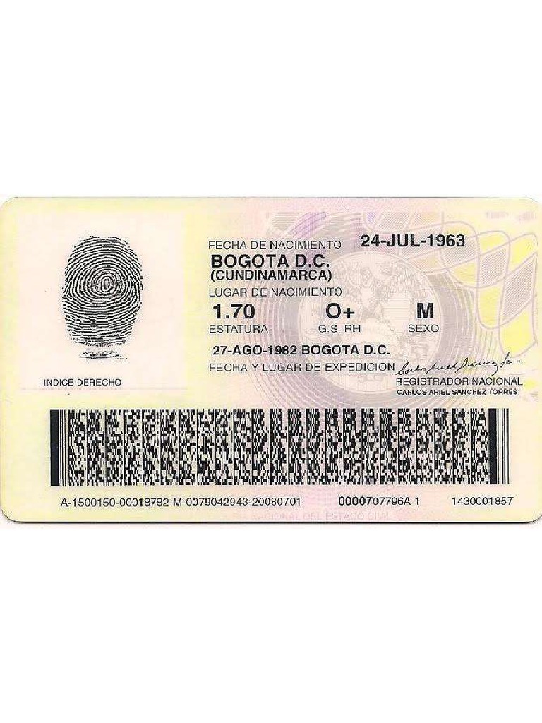 Cedula Benjamin 1 | PDF